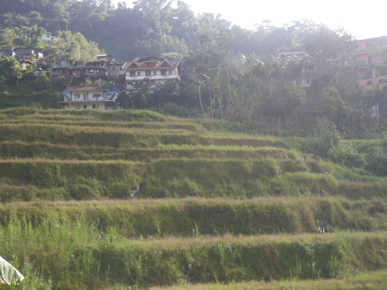 Hiking in Banaue - The Passport Chronicles